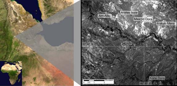 Kadanuumuu, un australopiteco che camminava in posizione eretta – Il ...