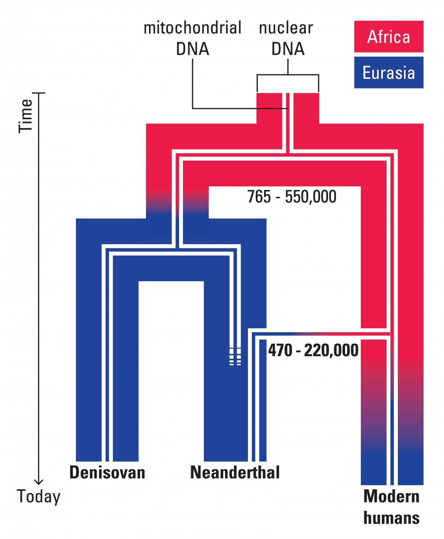 Una migrazione umana arcaica modificò il DNA dei Neanderthal? – Il ...
