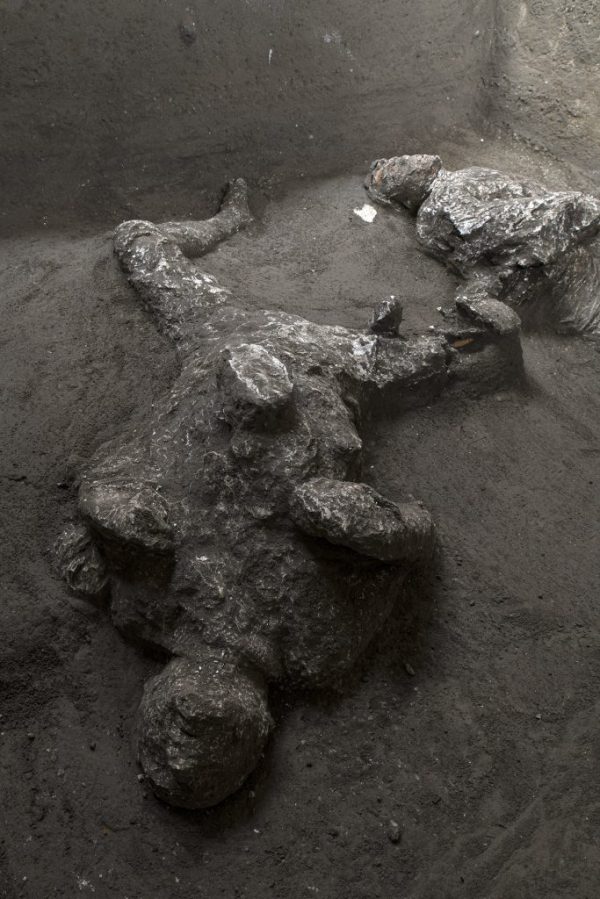 Trovati due abitanti di Pompei nella Villa del Sauro Bardato – Il Fatto ...